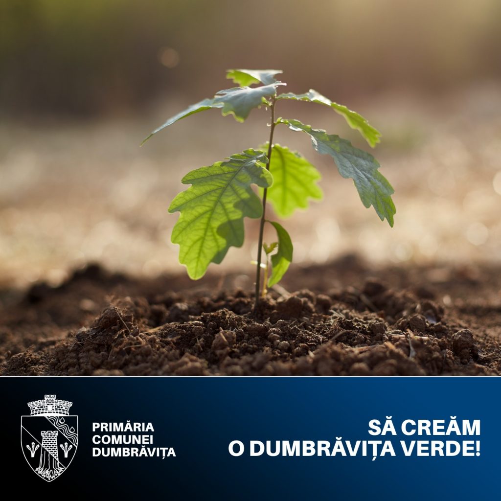 Implică-te în Dumbrăvița verde! – Primaria Comunei Dumbravita